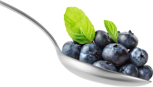 Quality Liquid Vitamin Supplements#N#| ReViva Nutrition